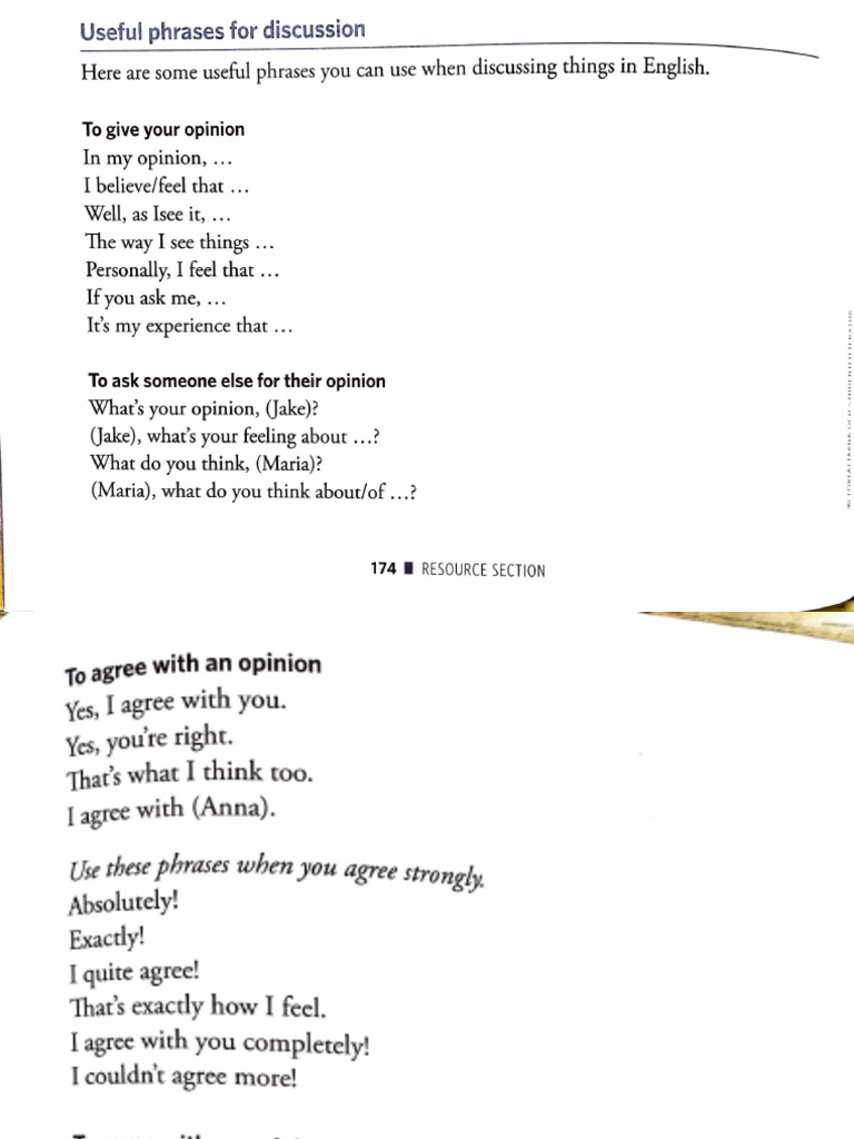 Useful Phrases For Discussion | PDF