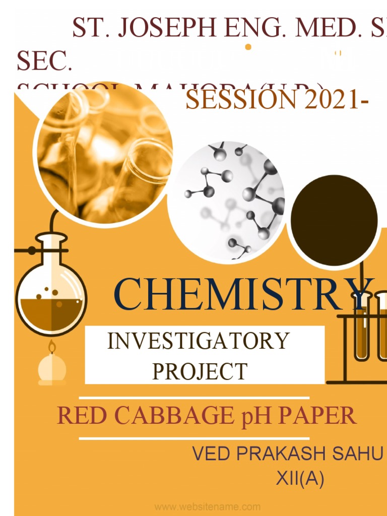 Investigatory Cover Page 1 | PDF