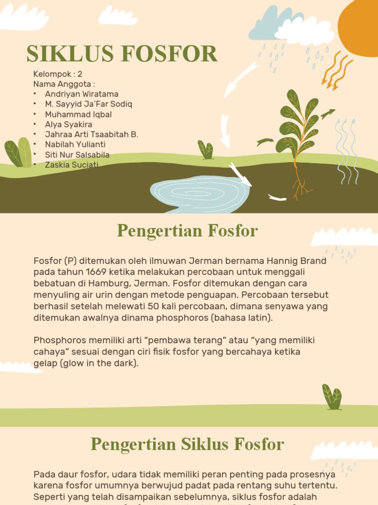 Siklus Fosfor | PDF