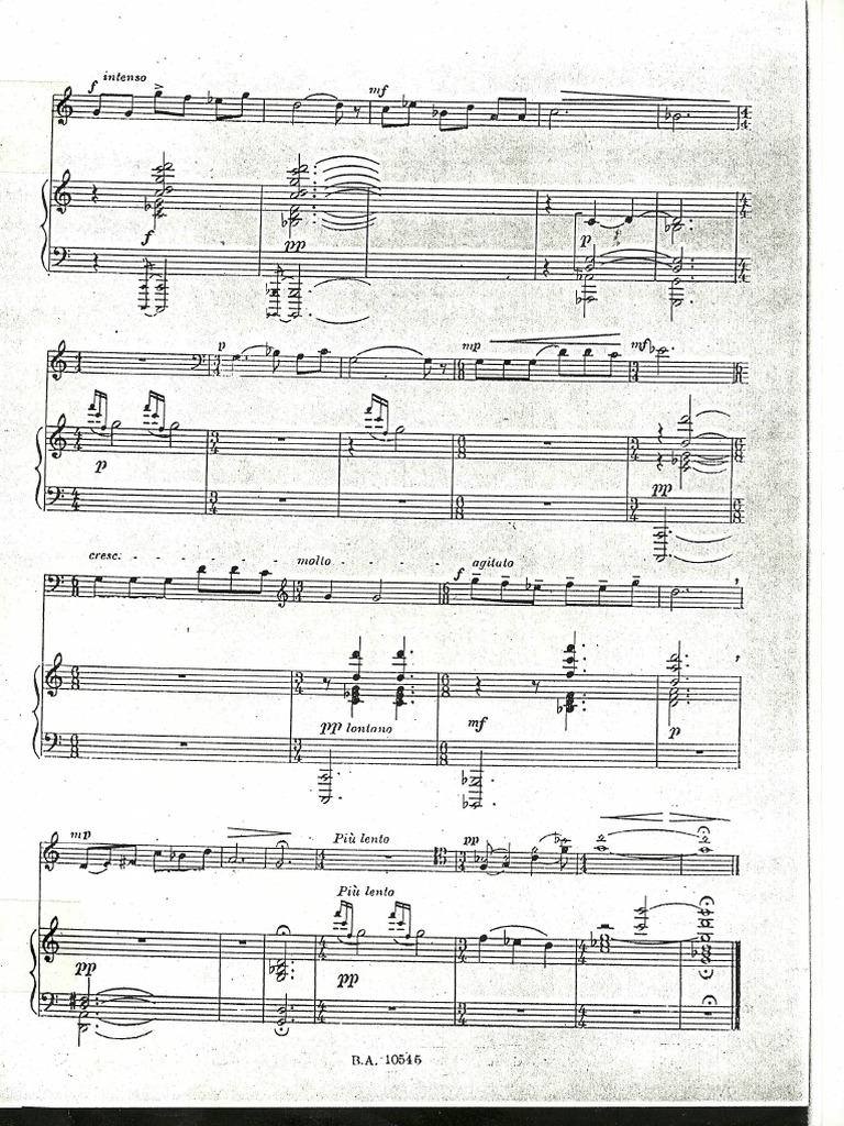 Triste Ginastera II | PDF