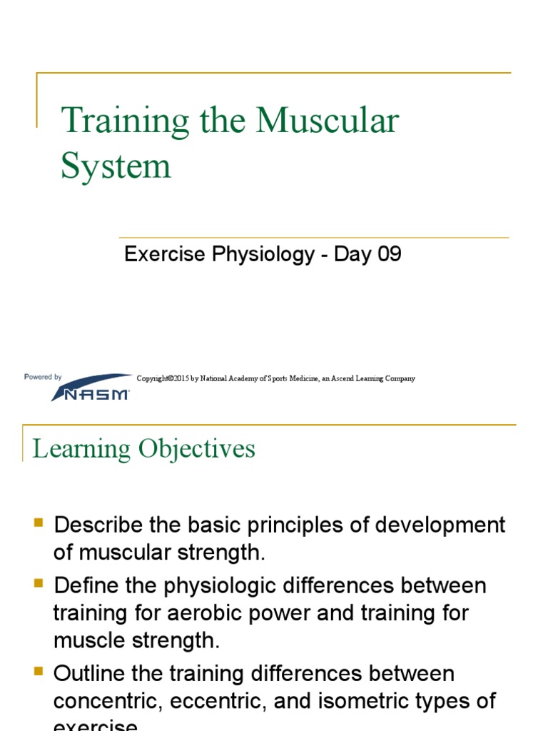Training The Muscular System | PDF | Skeletal Muscle | Strength Training