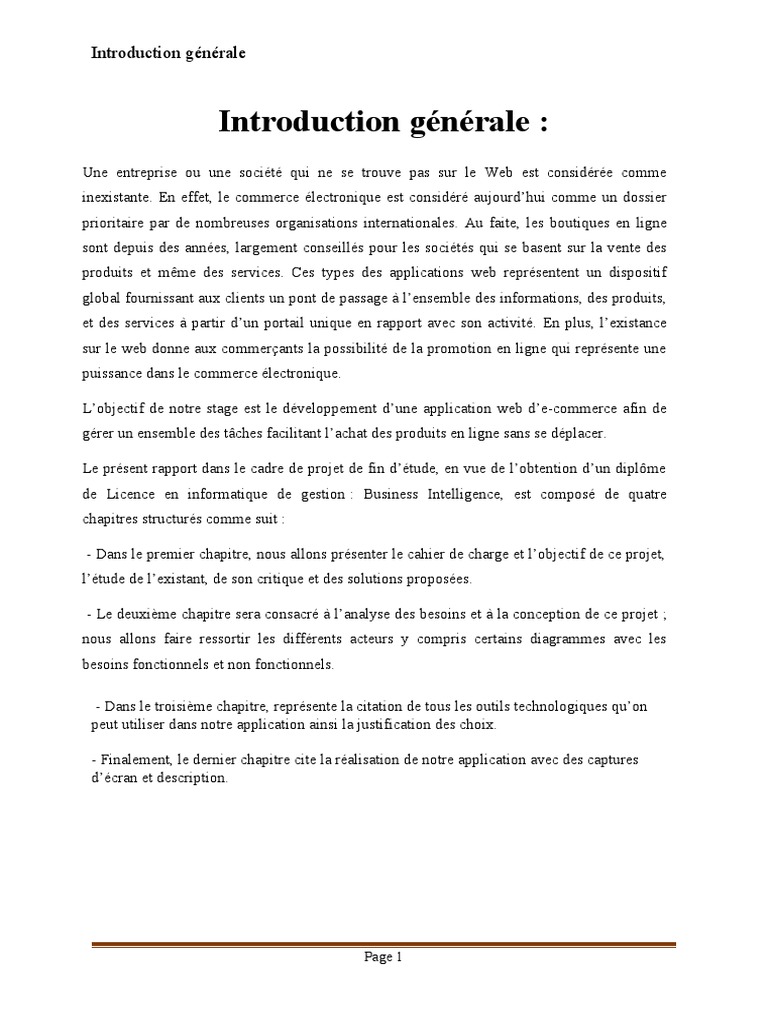 Rapport 1 | PDF | Application | Commerce électronique