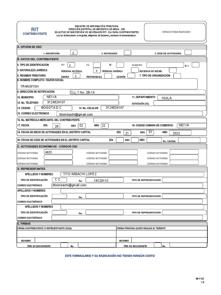 Formato Rit Neiva 1pdf | PDF | Contribuyente