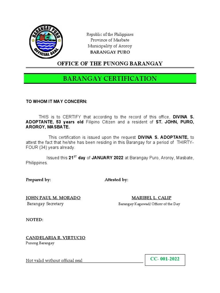 Barangay Certification: Office of The Punong Barangay | PDF