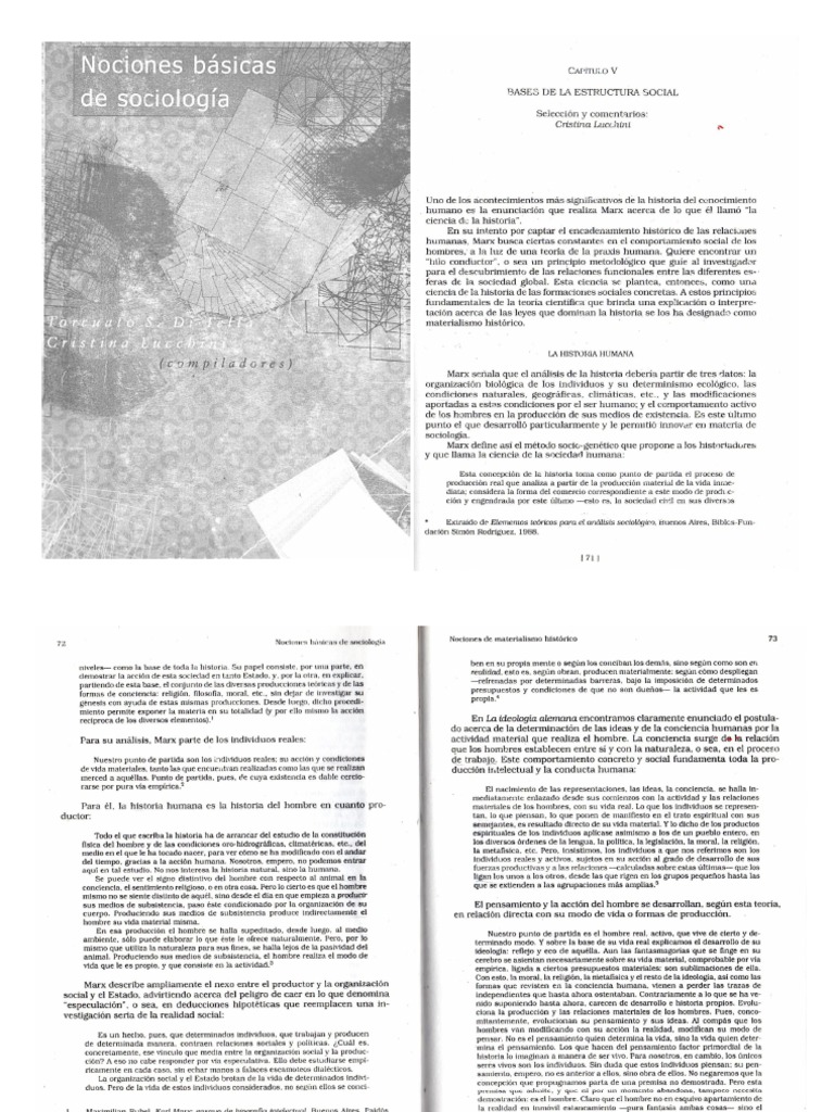 LUCCHINI - Bases de La Estructura Social | PDF