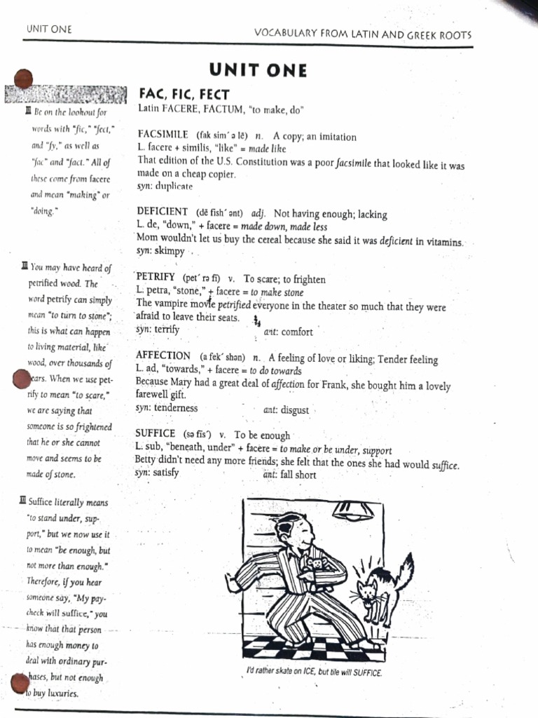 Unit 1 - Greek and Latin Roots Vocabulary Aug 12, 2021 | PDF | Language ...