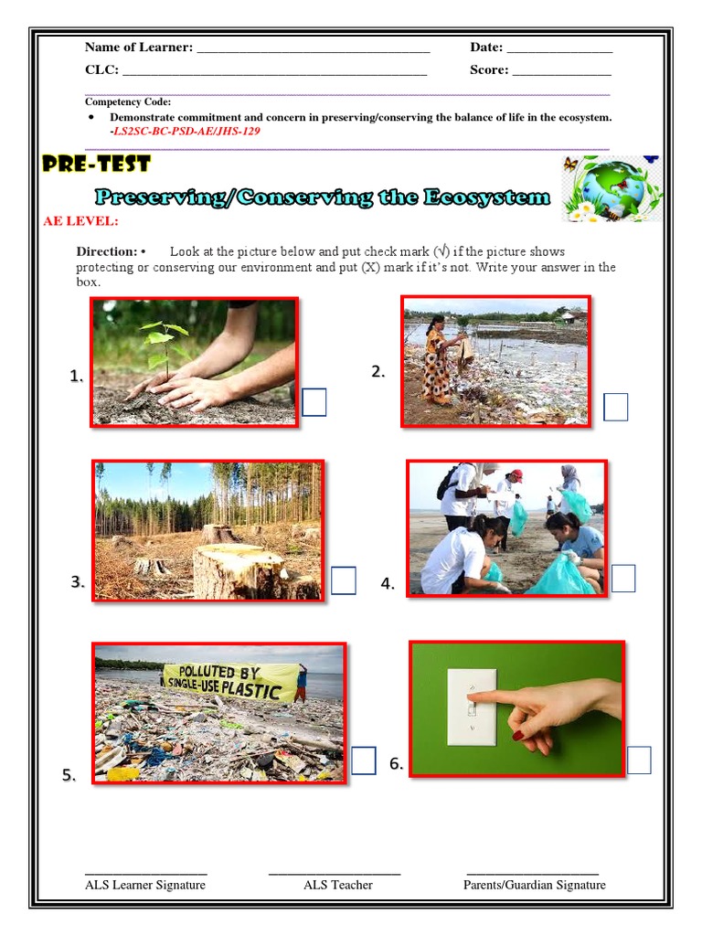 LS2 Science Worksheets (Preserved-Conserved Ecosystem) | PDF | Mangrove ...