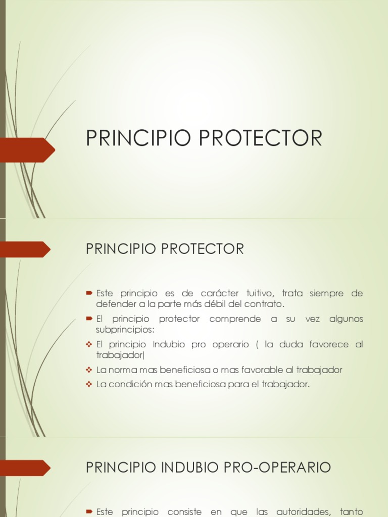 Principio Protector | PDF