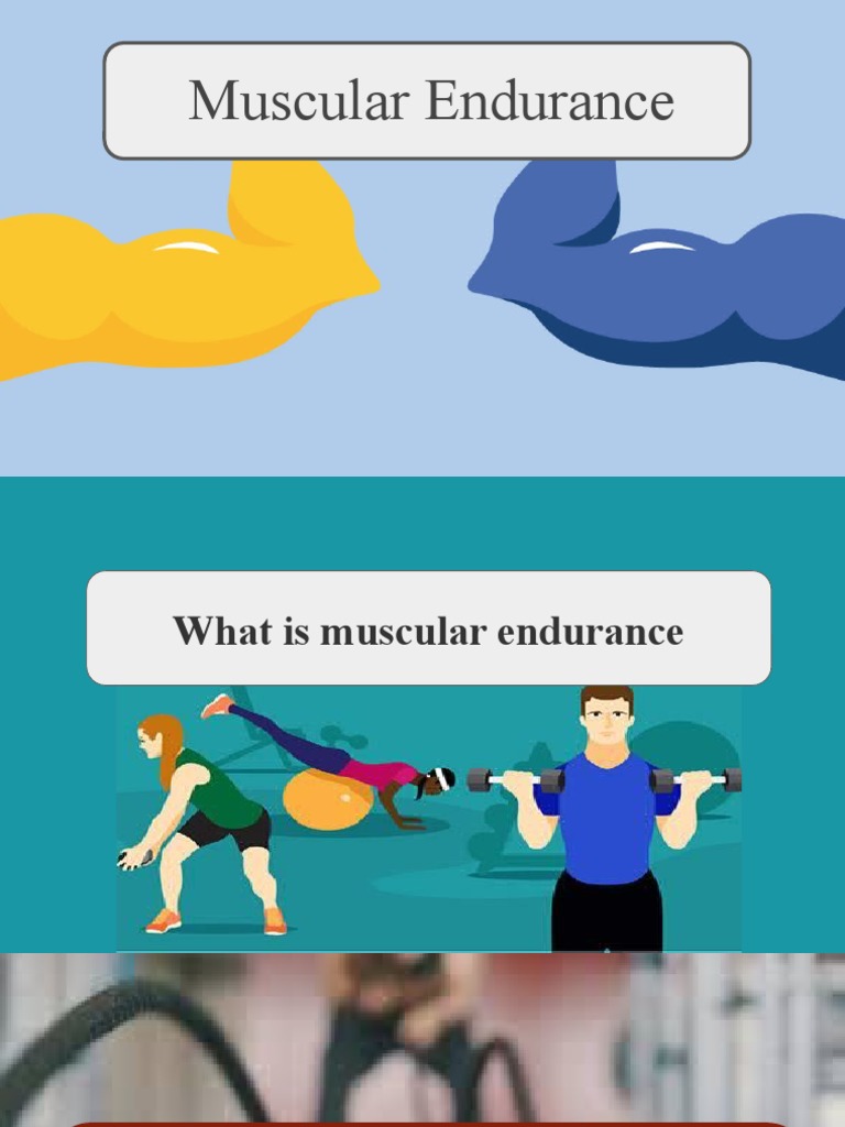 Muscular Endurance | PDF | Strength Training | Weight Training
