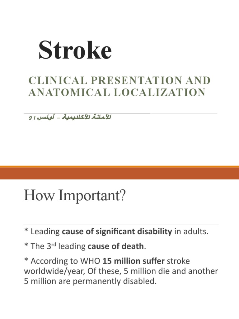 Stroke: Clinical Presentation and Anatomical Localization | PDF ...