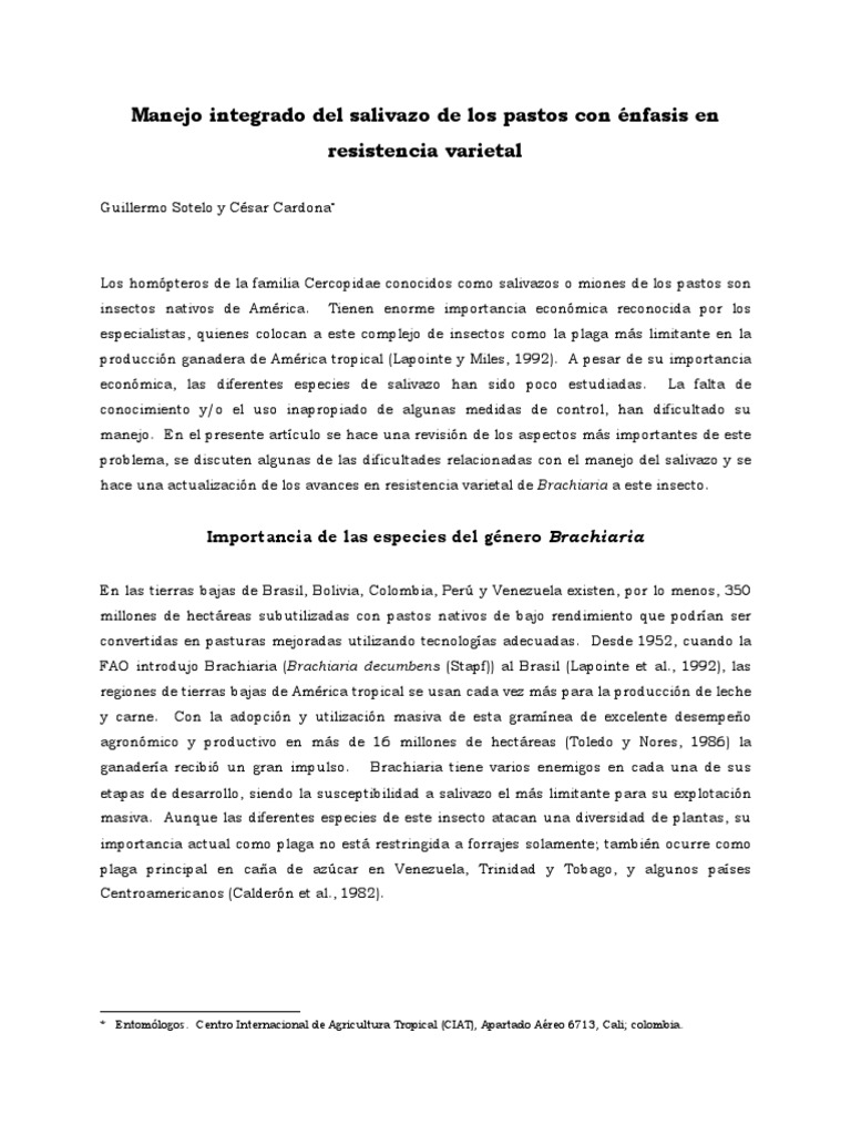 Manejo del salivazo en pastos Brachiaria | PDF | Insectos | Insecticida