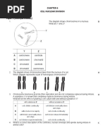 Mitosis and Meiosis Exam | PDF | Meiosis | Chromosome