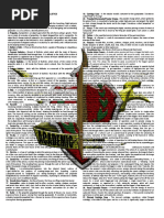 Forensic Ballistics Report | PDF | Trigger (Firearms) | Revolver