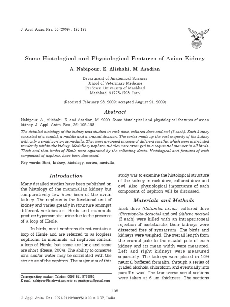 Some Histological and Physiological Features of Avian Kidney | PDF
