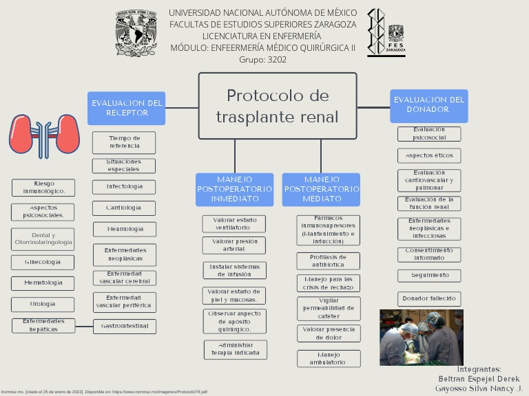 Mapa Conceptual Protocolo de Trasplante Renal | PDF | Trasplante de riñón | Epidemiología