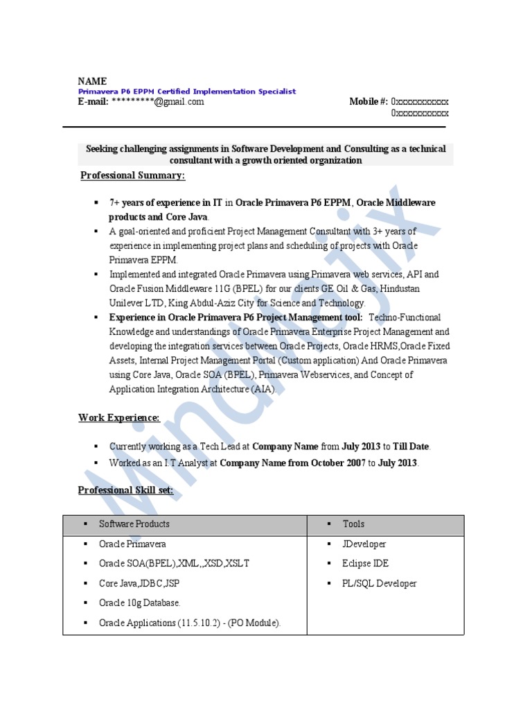 Primavera P6 Sample Resume 3 Pdf Oracle Corporation Java Programming Language