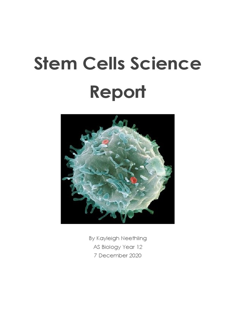 Science Report - Stem Cells | PDF | Cell Potency | Stem Cell
