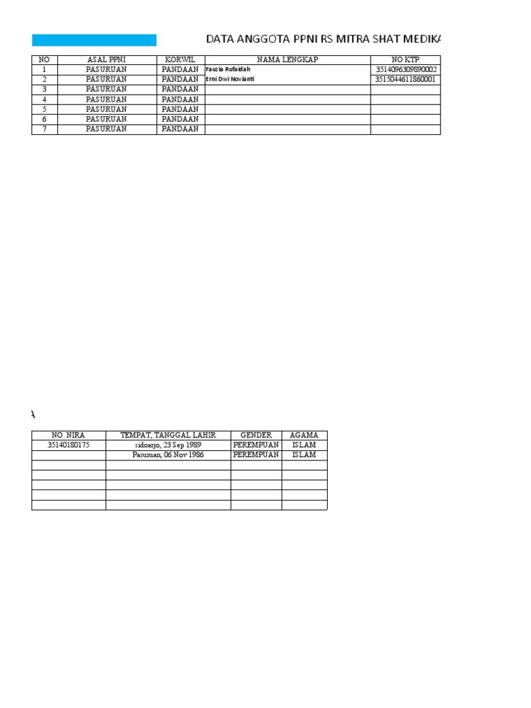 Data Anggota Ppni MSM | PDF
