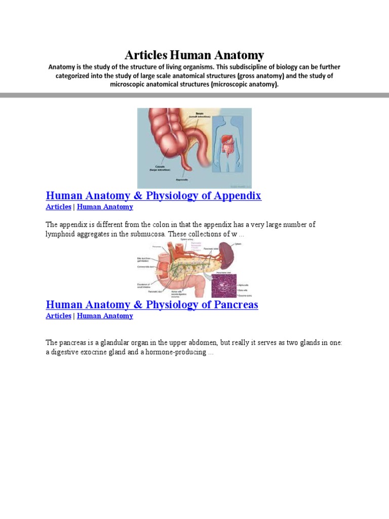2022 Articles Human Anatomy | PDF | Human Body | Anatomy