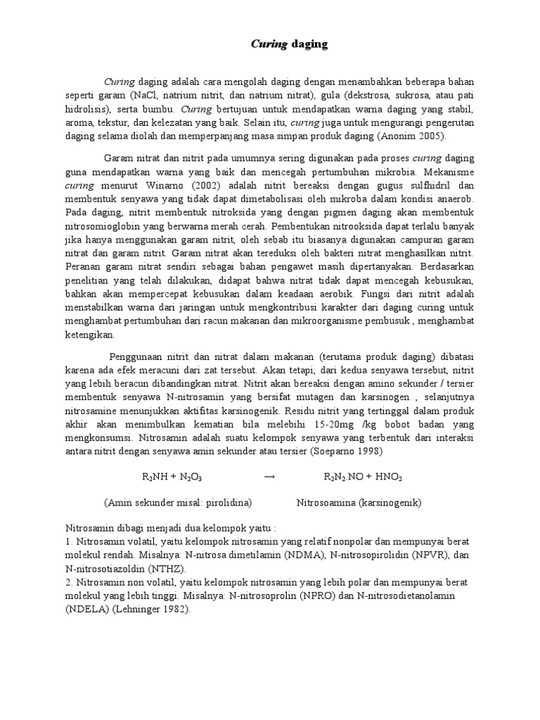 Curing Daging | PDF