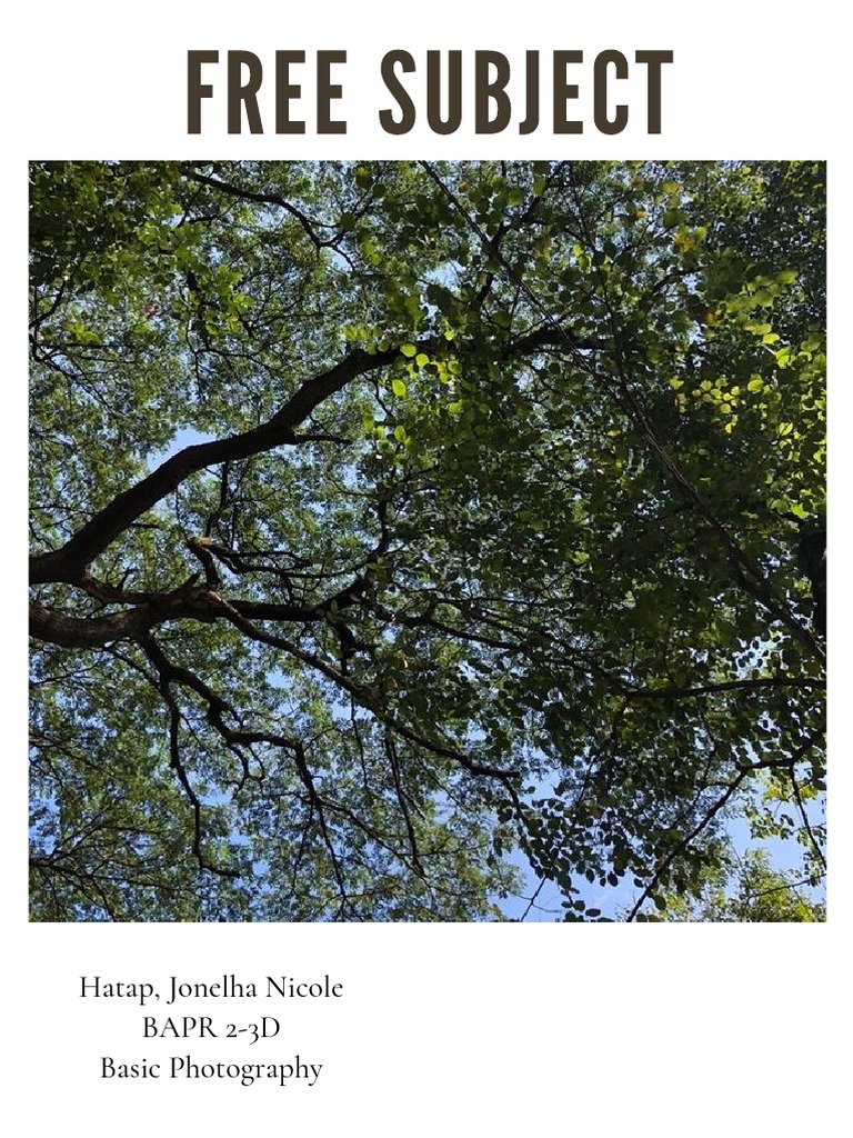 Photography Class Flyer | PDF