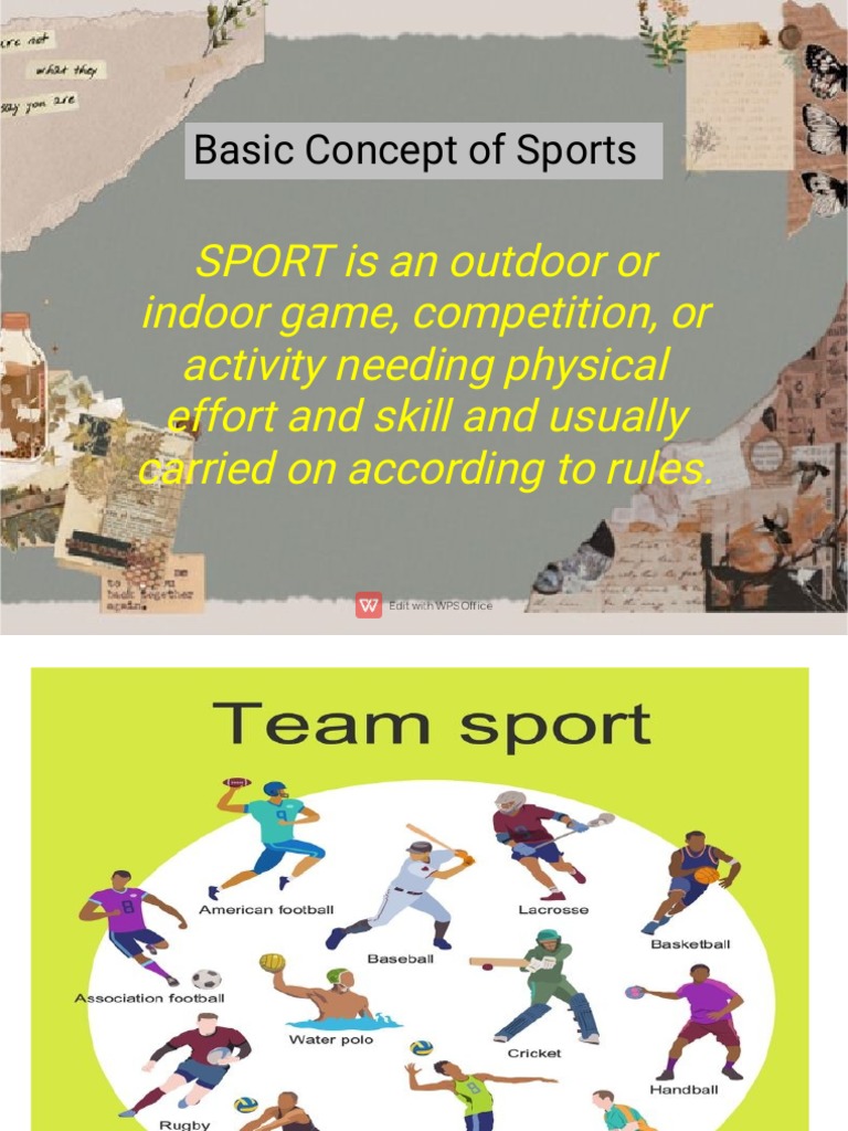 Understanding Basic Sports Concepts | PDF | Career & Growth