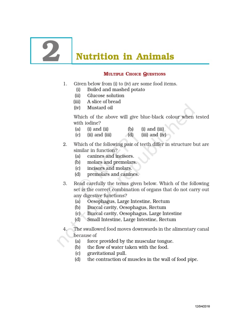 Nutrition in Animals - 7 - NCERT | PDF | Digestion | Medical Specialties