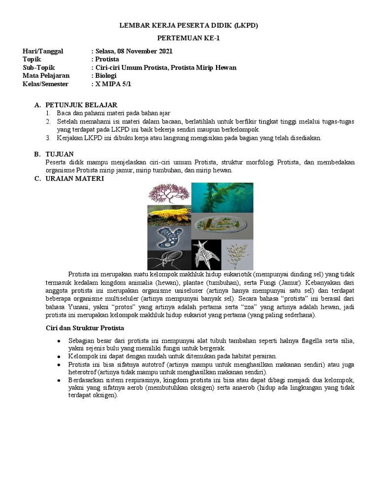 Ciri-Ciri dan Reproduksi Protista | PDF
