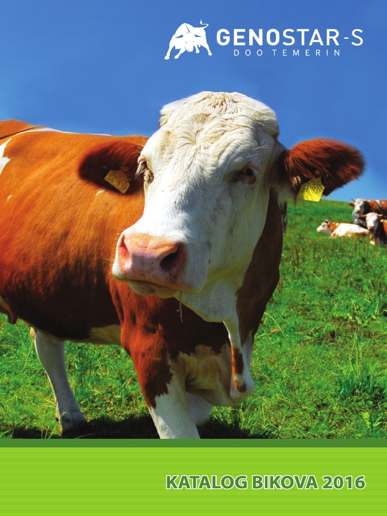 Katalog Bikova 2016 | PDF