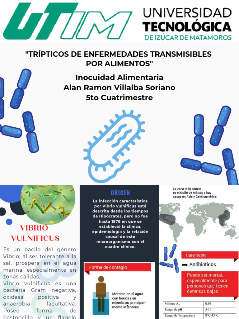 Trípticos de Inocuidad Alimentaria | PDF | Diarrea | Medicina CLINICA