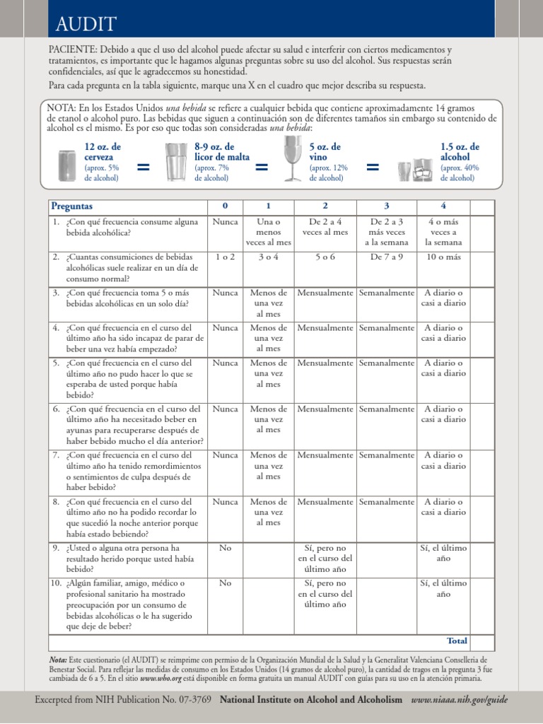 Audit Form - en Español | PDF | Etanol | Bebidas alcohólicas