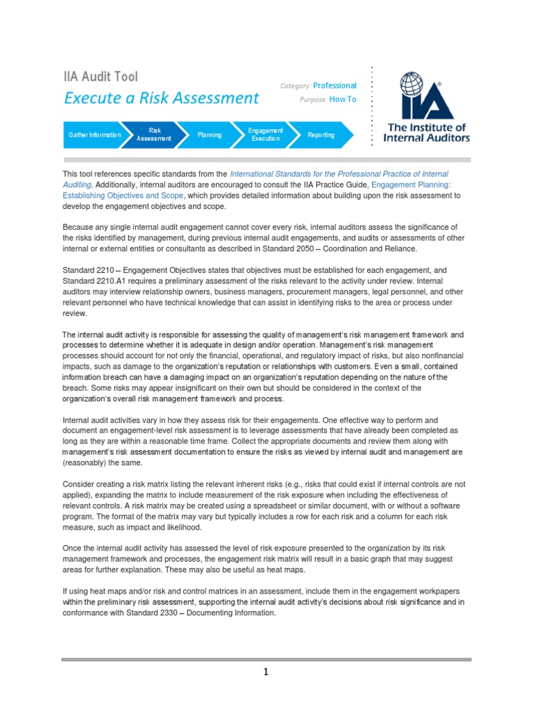 Execute A Risk Assessment | PDF | Internal Audit | Audit