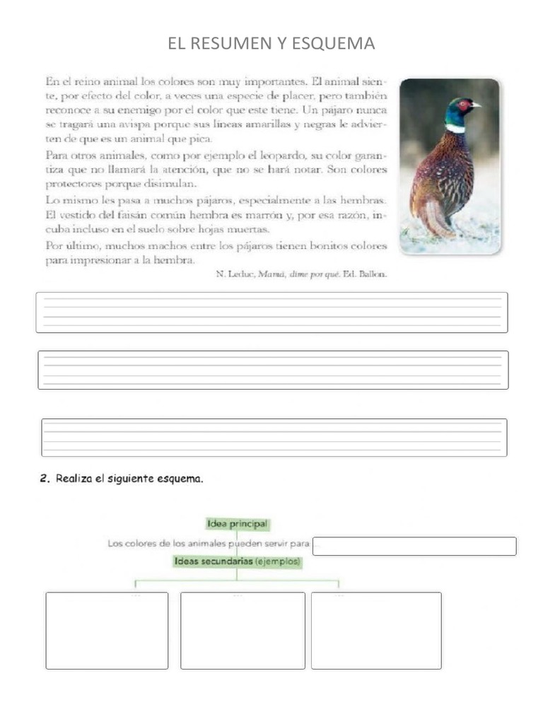 Tècniques D'estudi | PDF