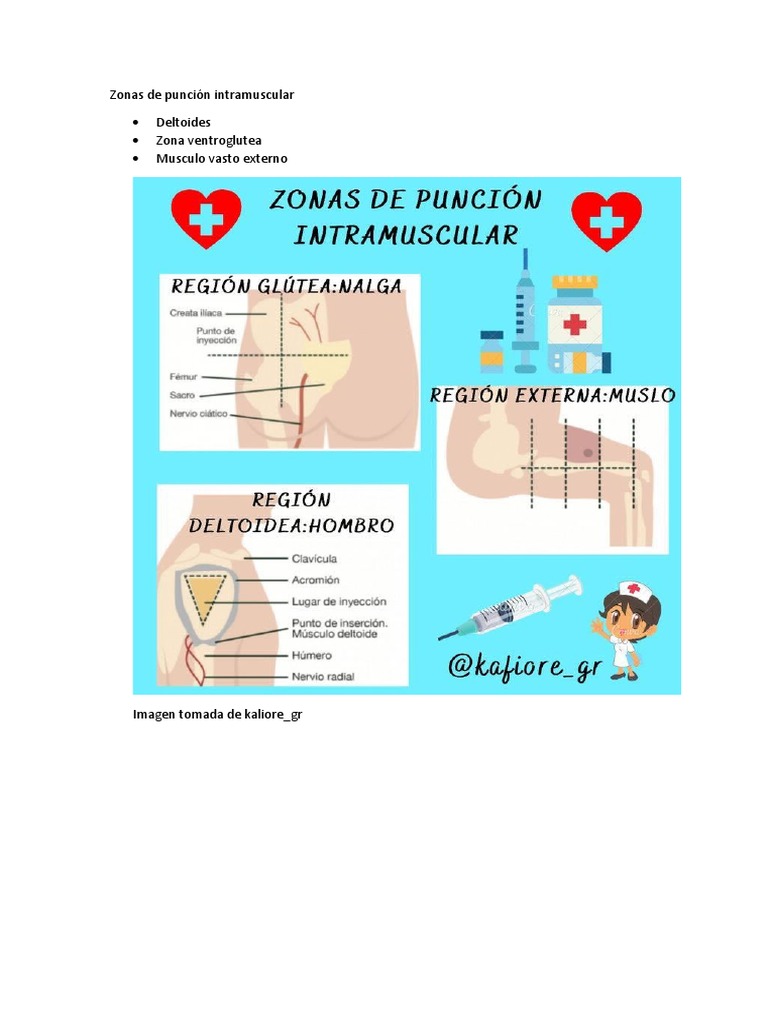 Zonas de Punción Intramuscular | PDF