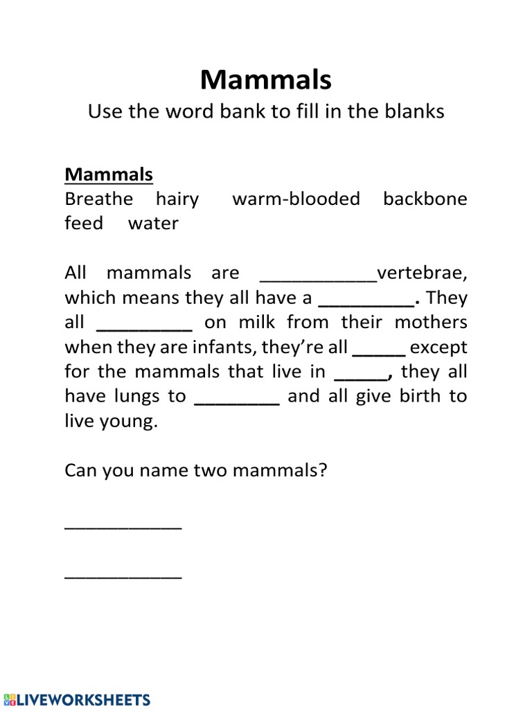 Mammals: Use The Word Bank To Fill in The Blanks | PDF