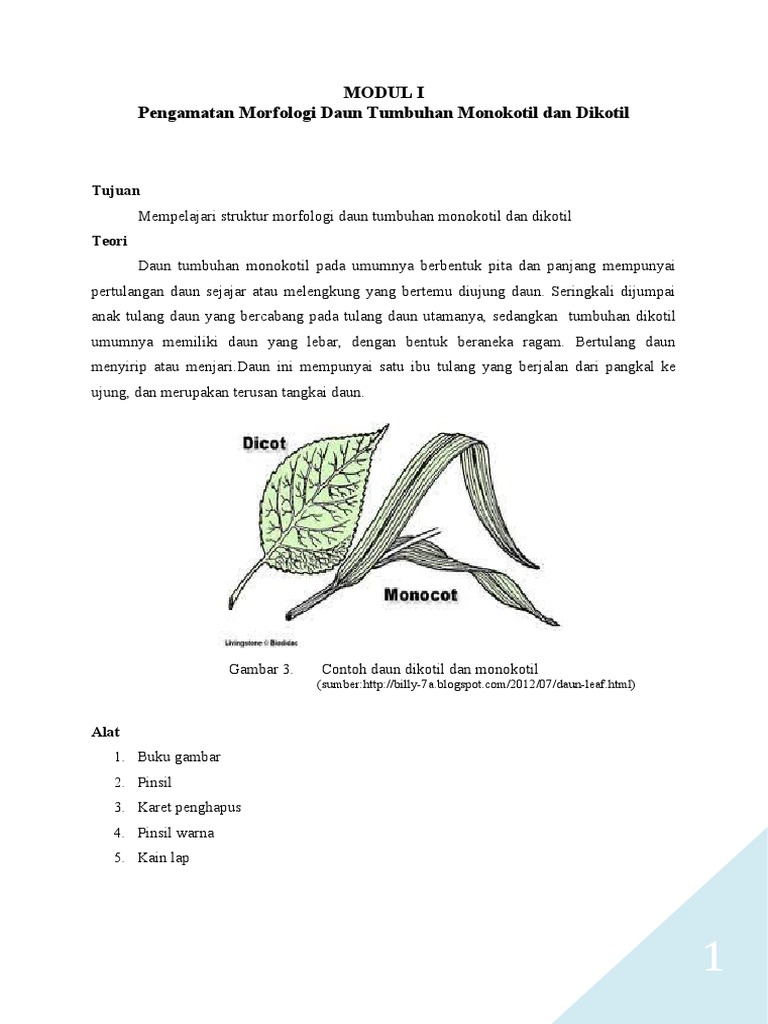 Modul Botani Farmasi | PDF