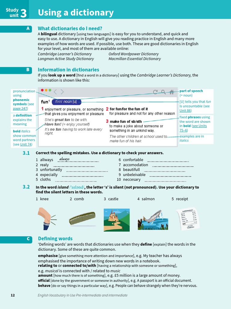 Using A Dictionary: What Dictionaries Do I Need? | PDF | English Language | Word
