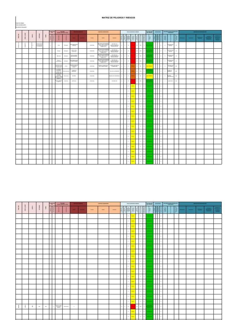 Formato Identificacion de Peligros y Evaluaci C3 B3n de Riesgos | PDF ...
