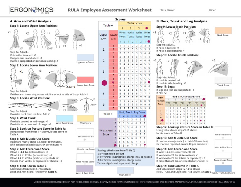 RULA Employee Assessment Worksheet | PDF | Arm | Anatomical Terms Of Motion