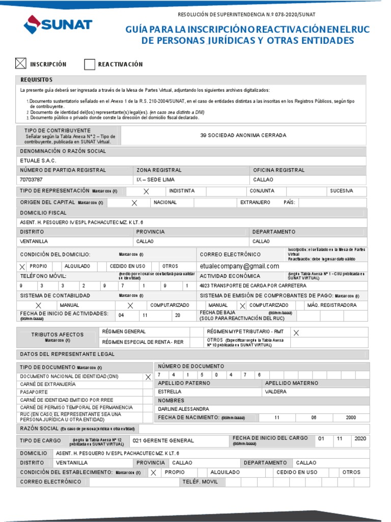 Guia Inscripcion Sunat | PDF