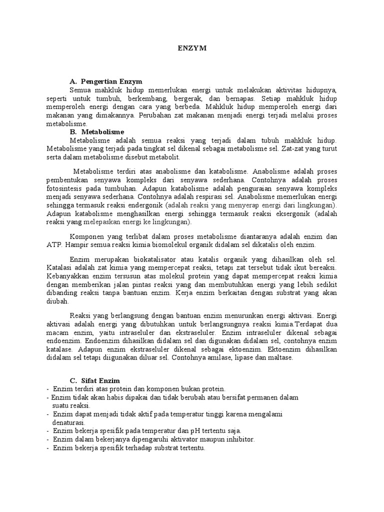 Peran Enzym | PDF