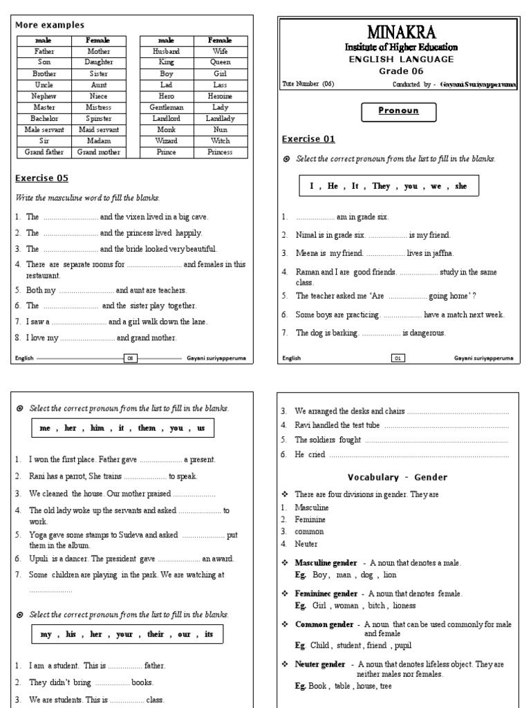 2016 (Tute 06) Grade 6 (English) | PDF | Grammatical Gender | Language Mechanics
