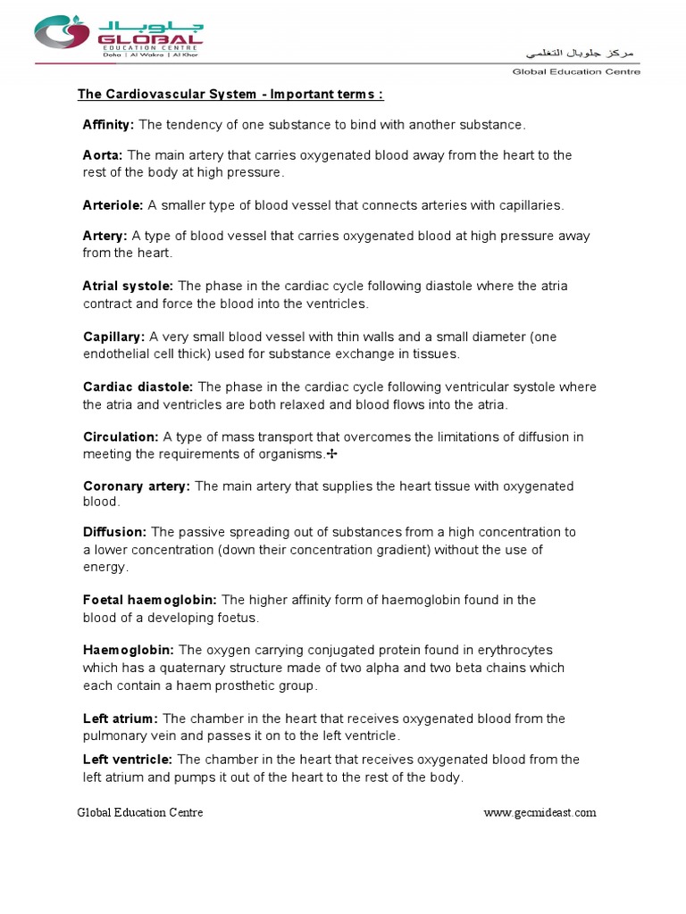 Key Terms of the Cardiovascular System: A Comprehensive Glossary of ...