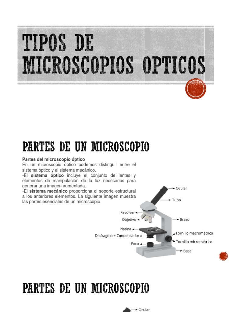 Tipos de Microscopios Opticos | PDF