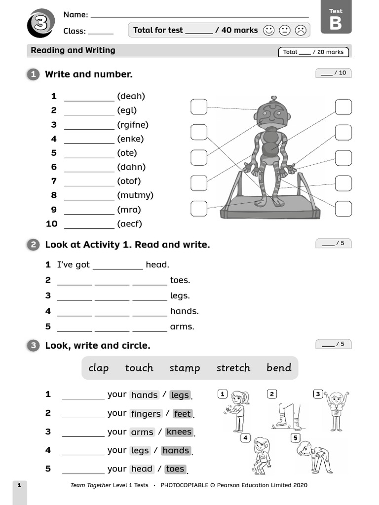 Clap Touch Stamp Stretch Bend: Write and Number | PDF | Limbs (Anatomy ...