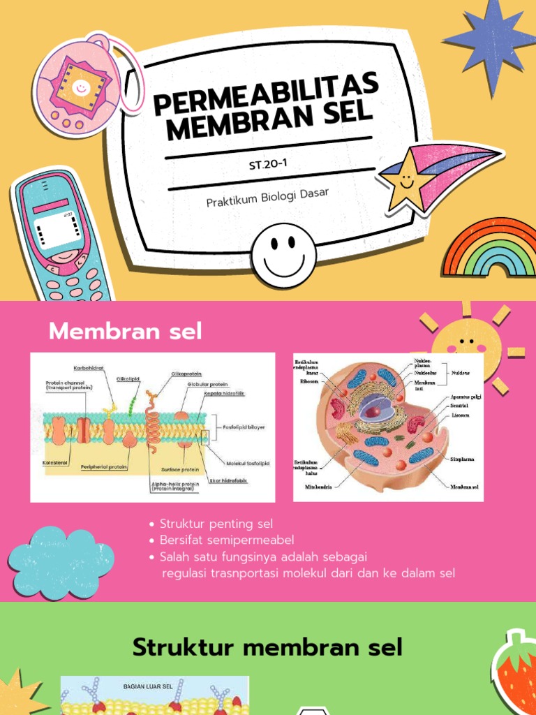 Permeabilitas Membran Sel | PDF