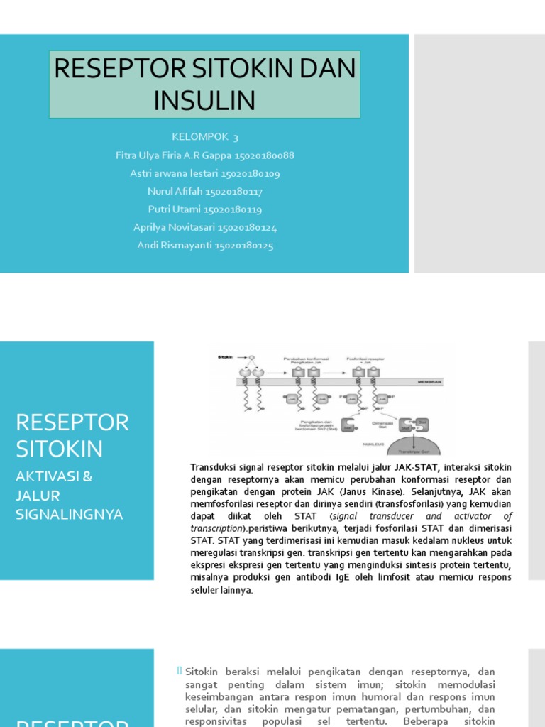 Reseptor Sitokin Insulin KLP 3 | PDF