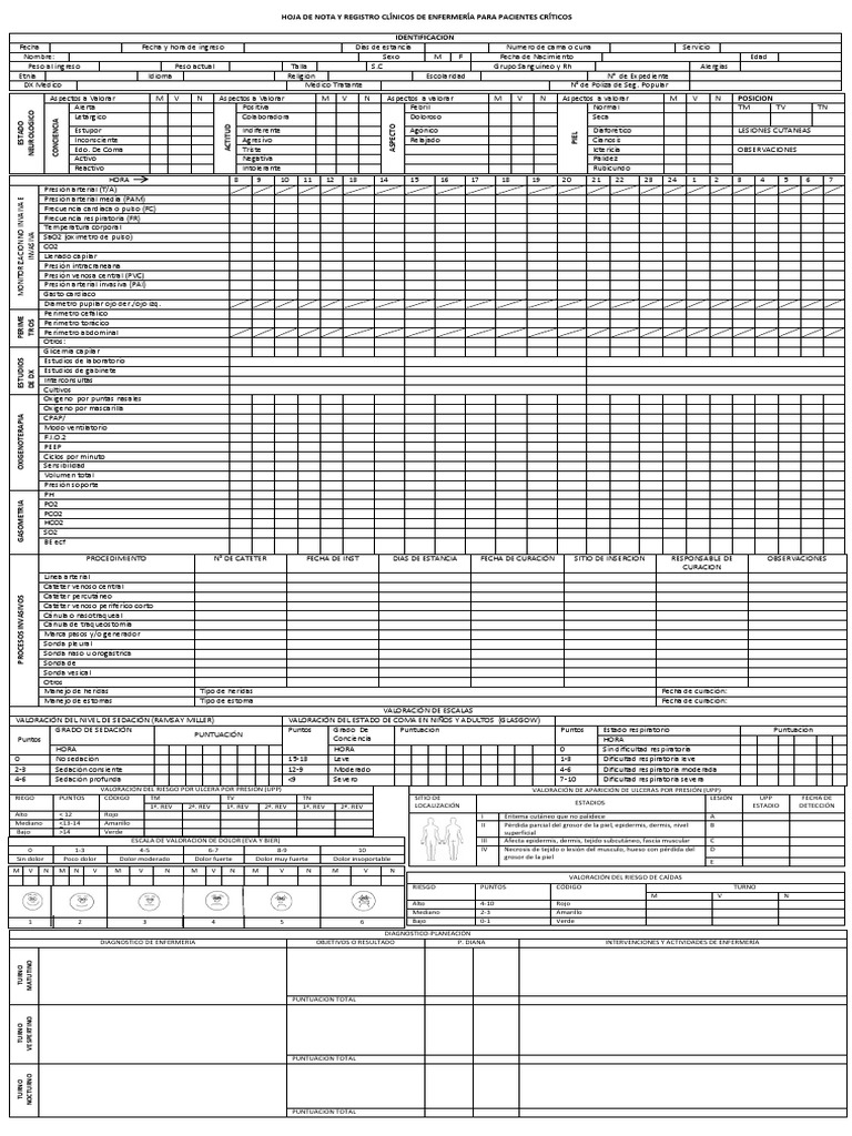 Hoja de Enfermería de Paciente Critico | PDF | Medicina CLINICA ...
