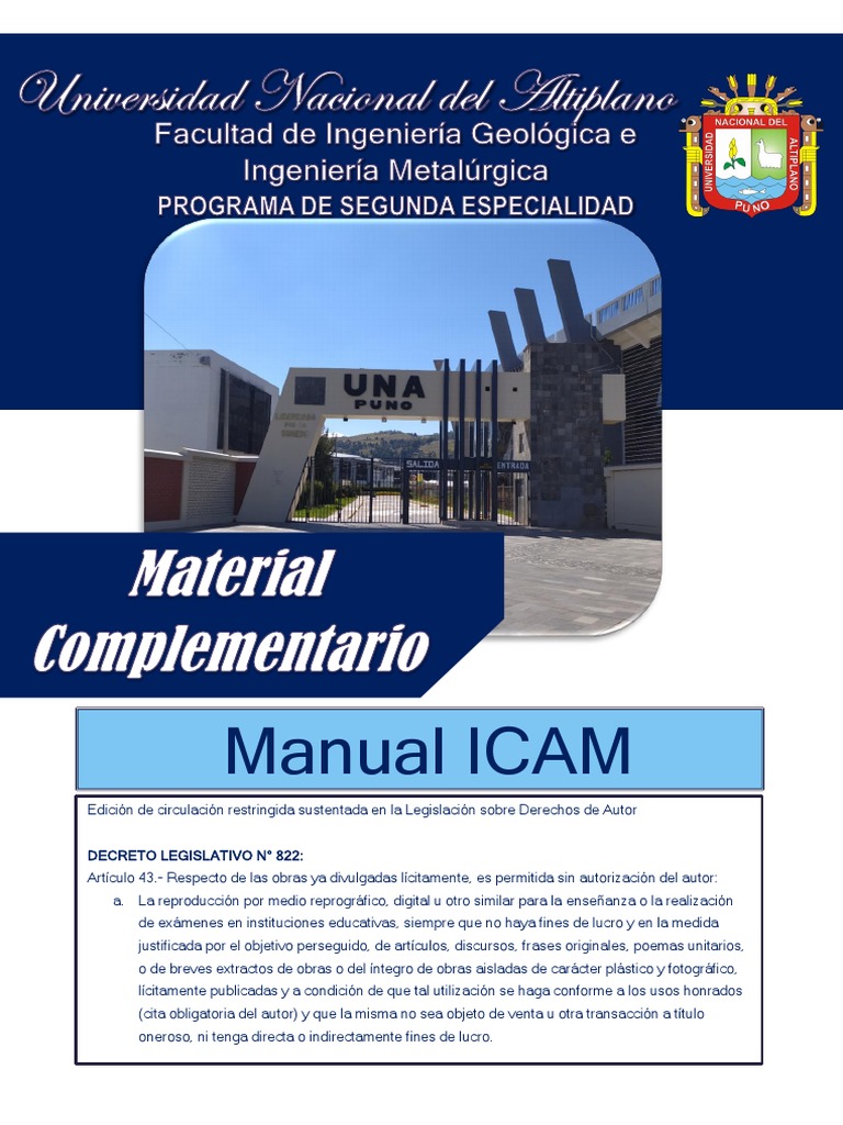 Guía Manual ICAM | PDF | Planificación | Información
