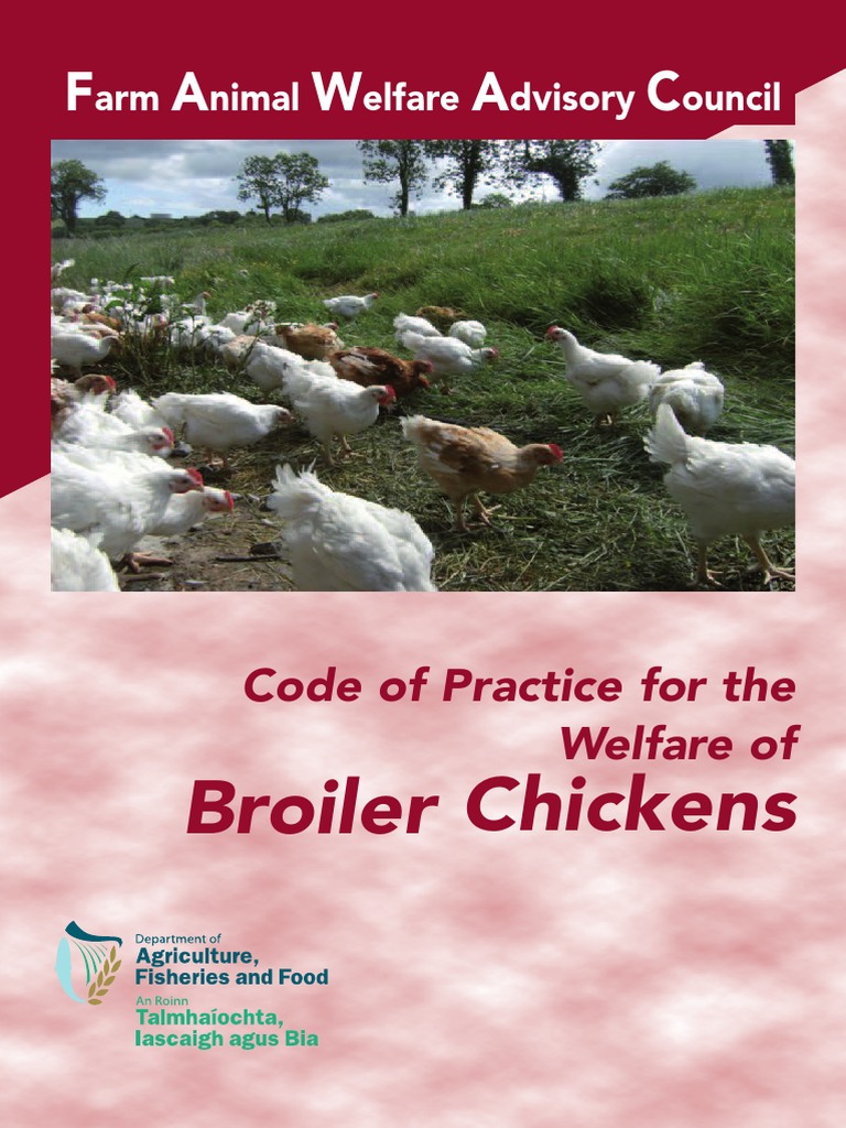 Guide to Best Practices for Broiler Chicken Welfare | PDF | Animal ...